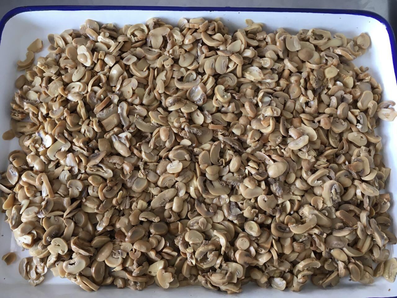 Nuevo la seta conservada del champiñón de la cosecha premio no corta ...